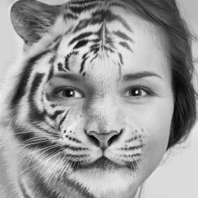 Half Tiger Half Human